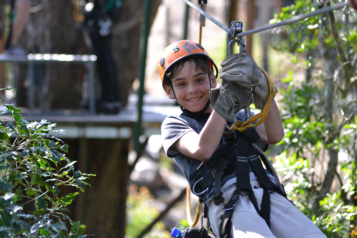 Tsitsikamma Canopy Tours « Tsitsikamma Canopy Tours Storms River ...