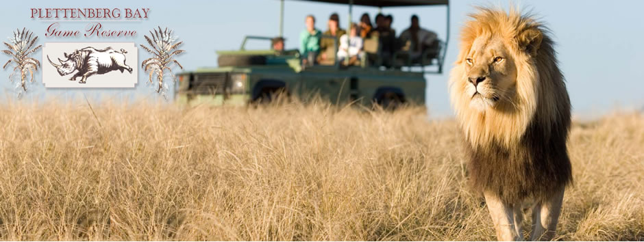 plett-game-reserve-6 « Plett Tourism Contest