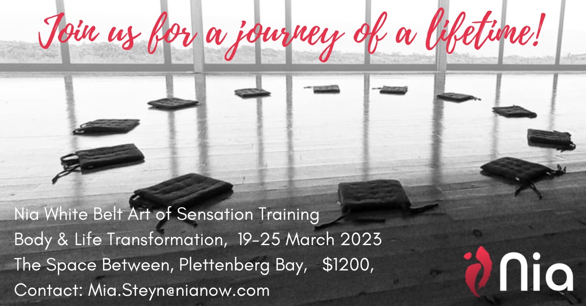 Nia Art of Sensation Training & Retreat « Nia Art of Sensation Training ...